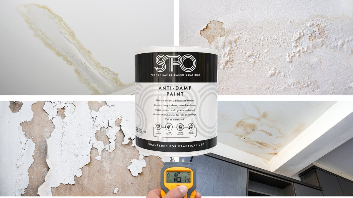 Paint Damp Walls & Ceilings with SPO Anti-Damp Paint for the UK ...