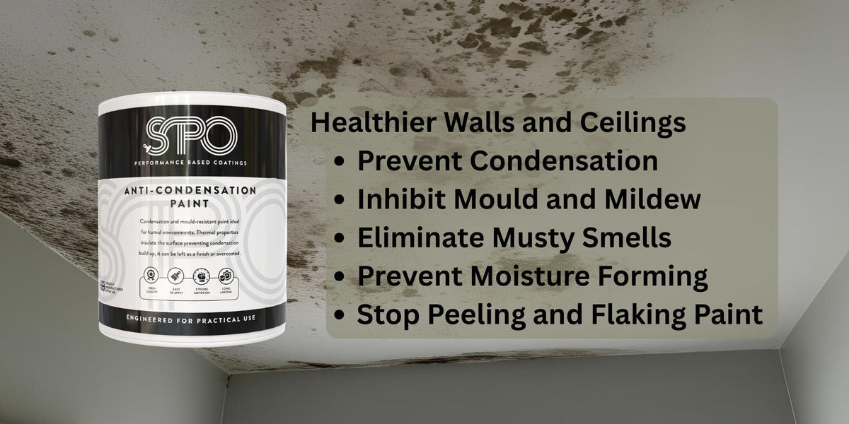 The Best Paint for Condensation on Walls & Ceilings (UK) — Specialist ...